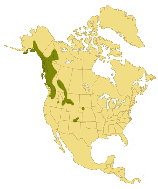 american-mtn-goat-map - All Creatures Podcast